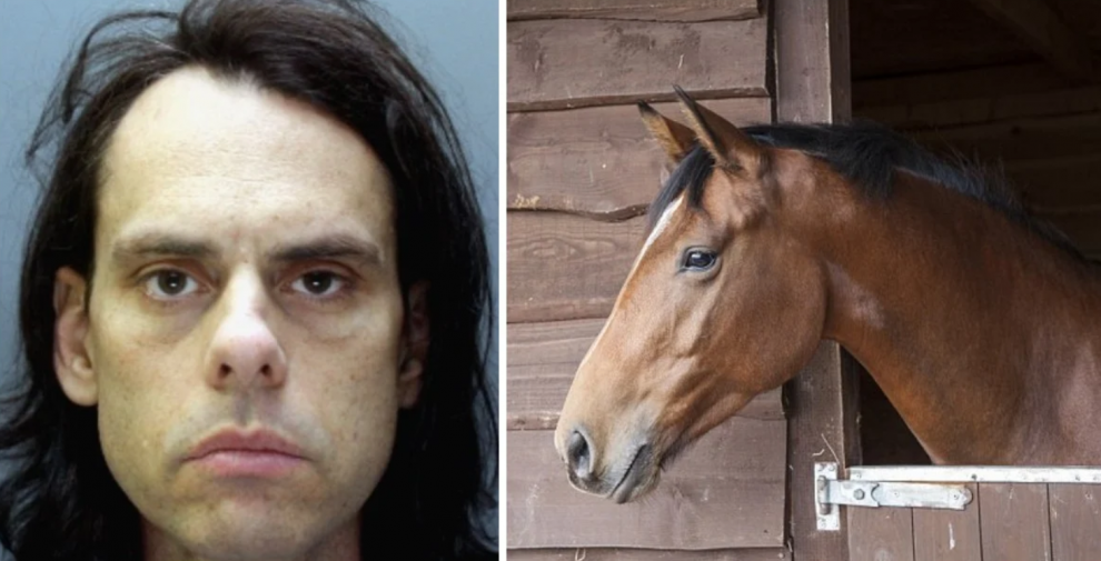 Άνδρας βίασε άλογο επειδή…του έκλεισε το μάτι - Ανήκουστες οι ...