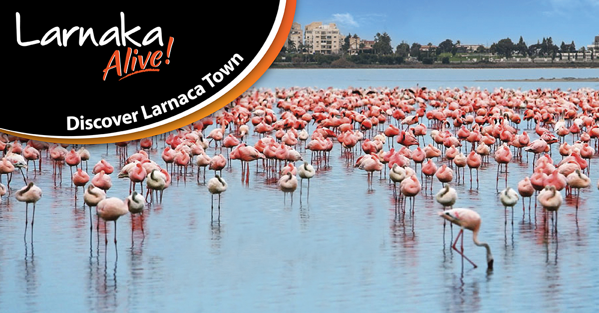 Visit Cyprus, information, sightseeing, what to do, where to go